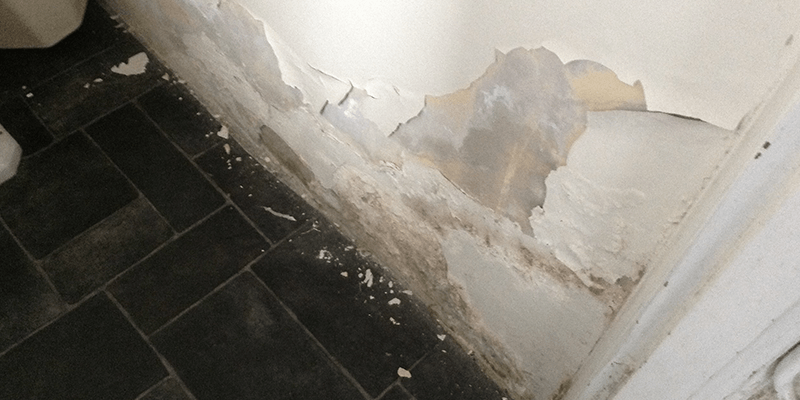 Damp proofing cost | Kent | South East Timber & Damp