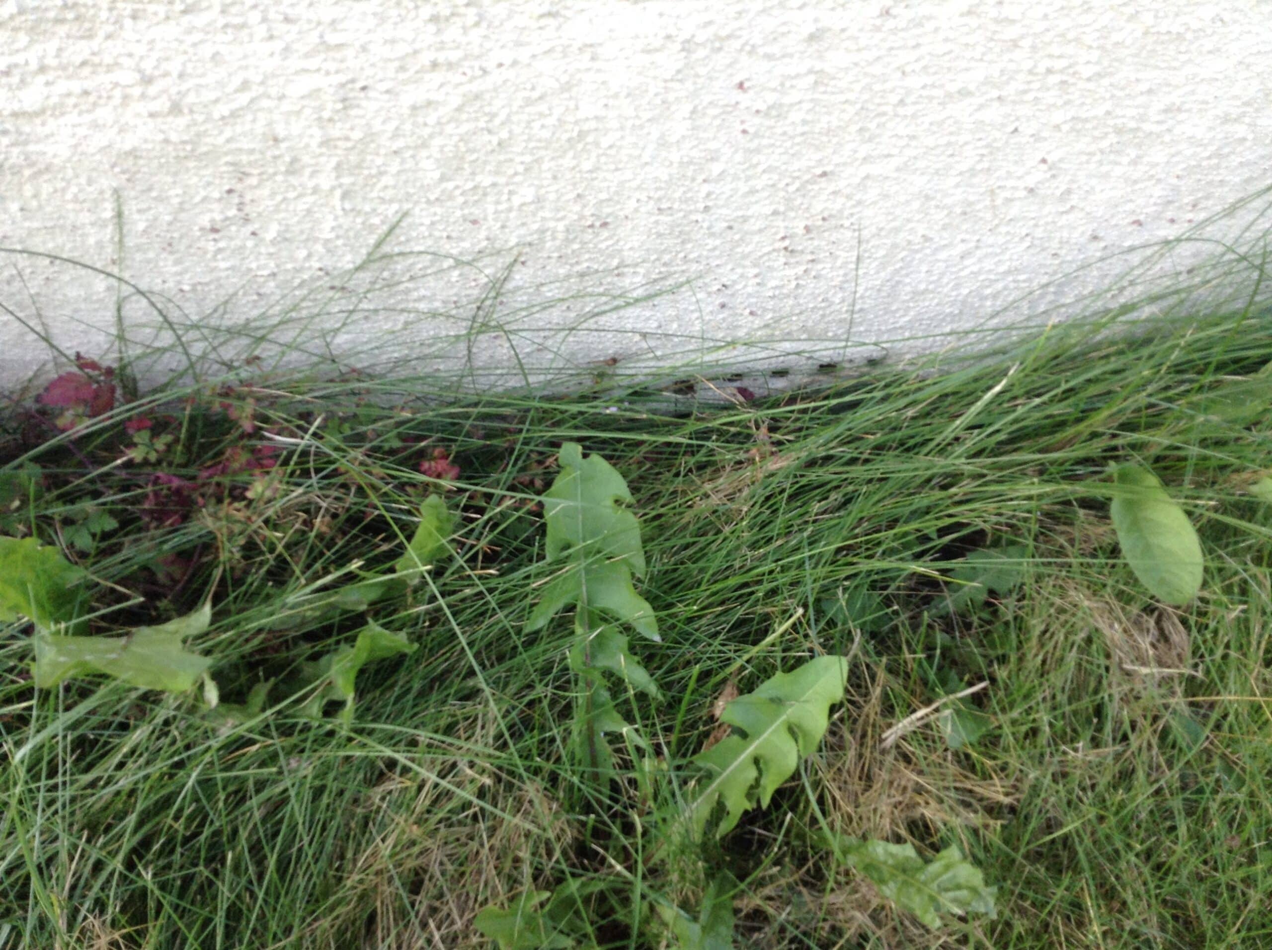 Treatment for Wet Rot | Kent | South East Timber & Damp