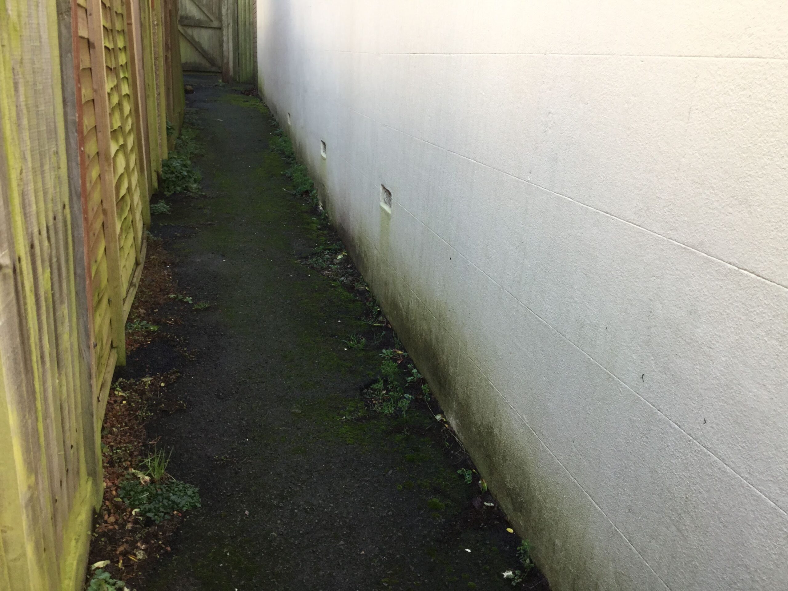 Damp Treatment | Tunbridge Wells | South East Timber & Damp