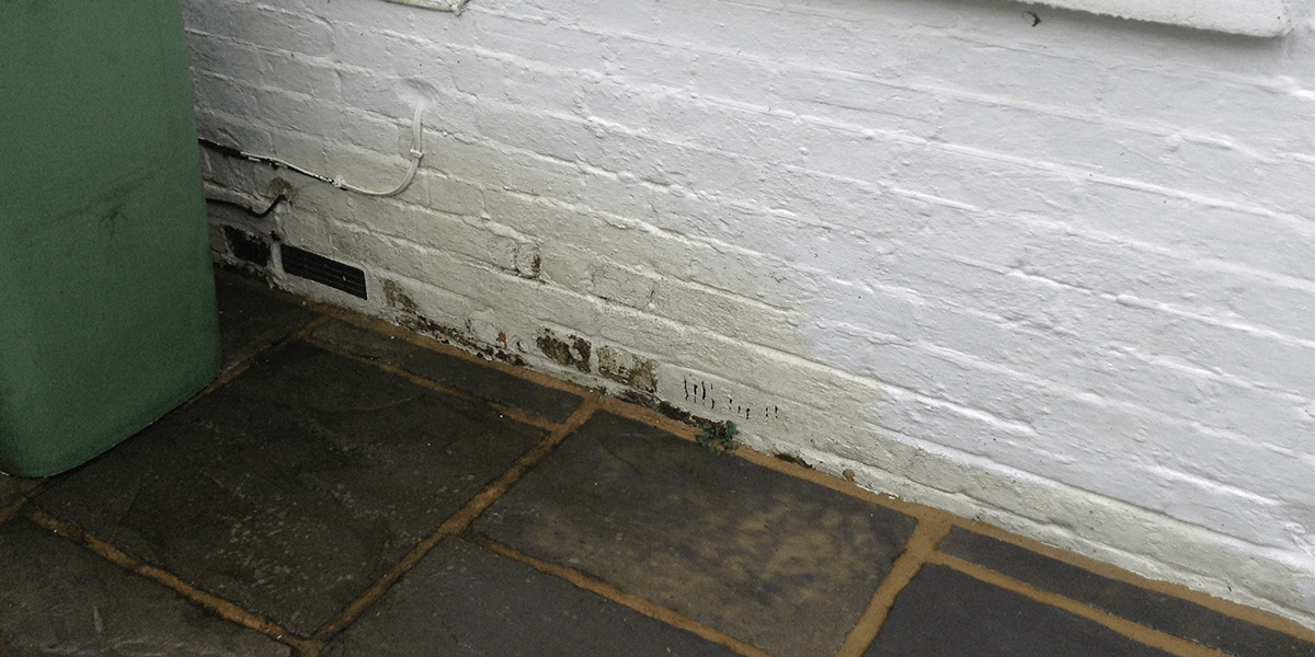 DIY Damp Proofing | Kent | South East Timber & Damp