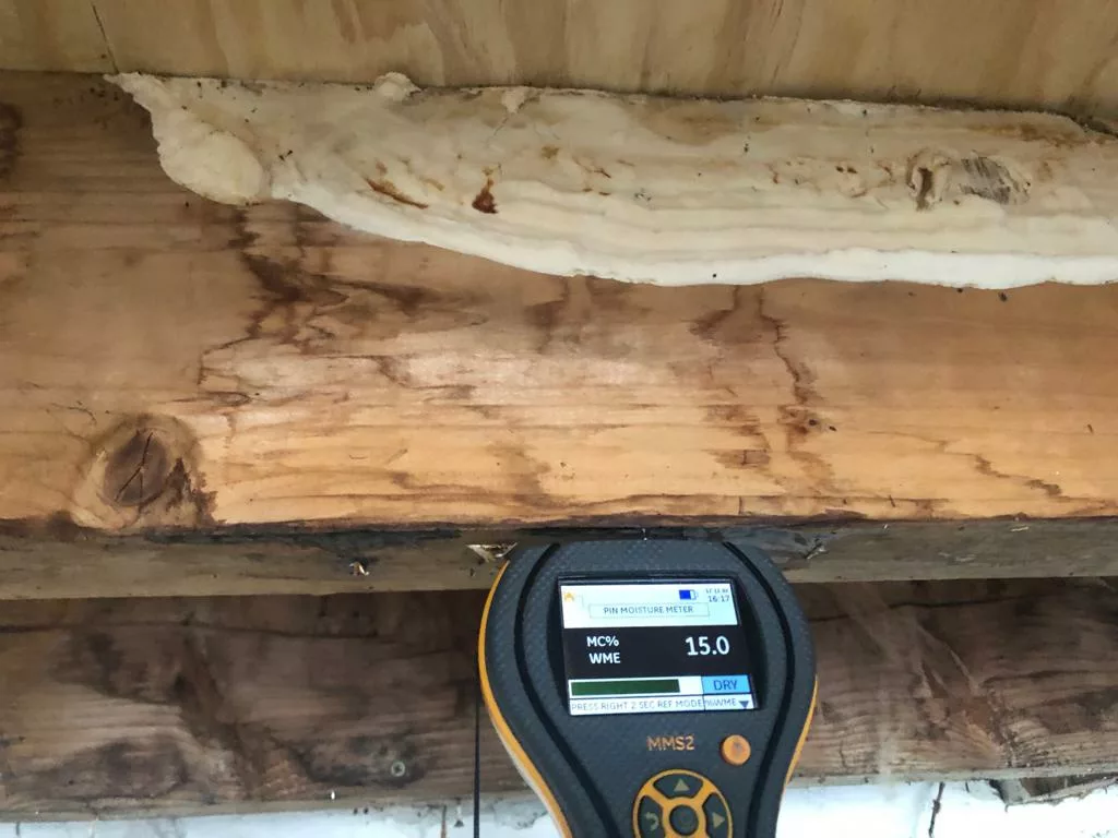 Dry Rot Repair | Rochester, Kent | South East Timber & Damp