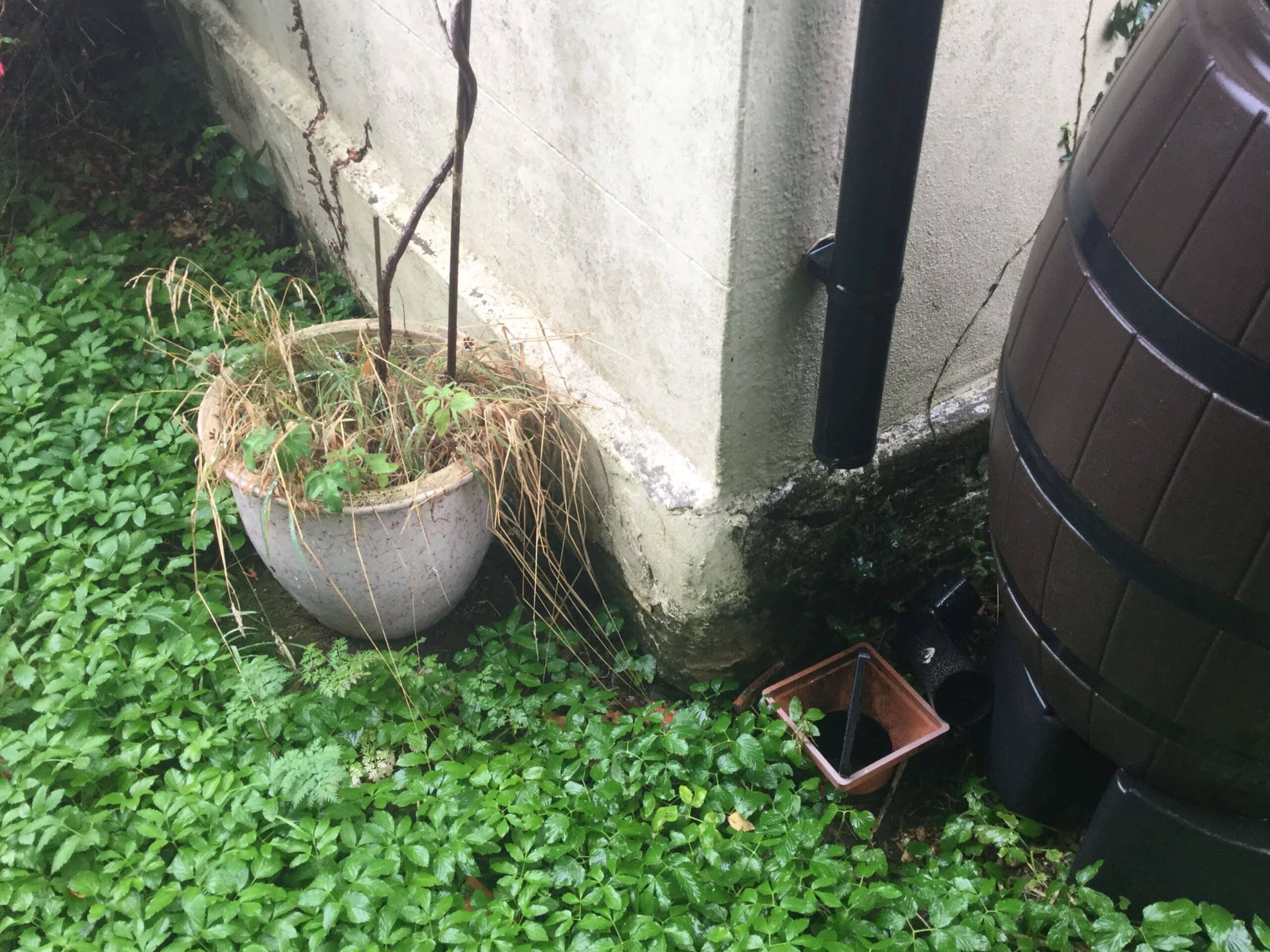 Damp Survey Charing | Kent | South East Timber & Damp