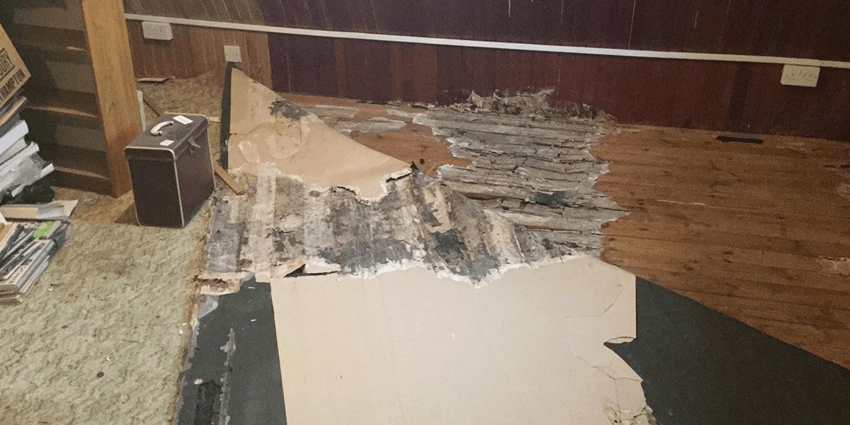 Signs of Dry Rot | Sevenoaks Kent | South East Timber & Damp