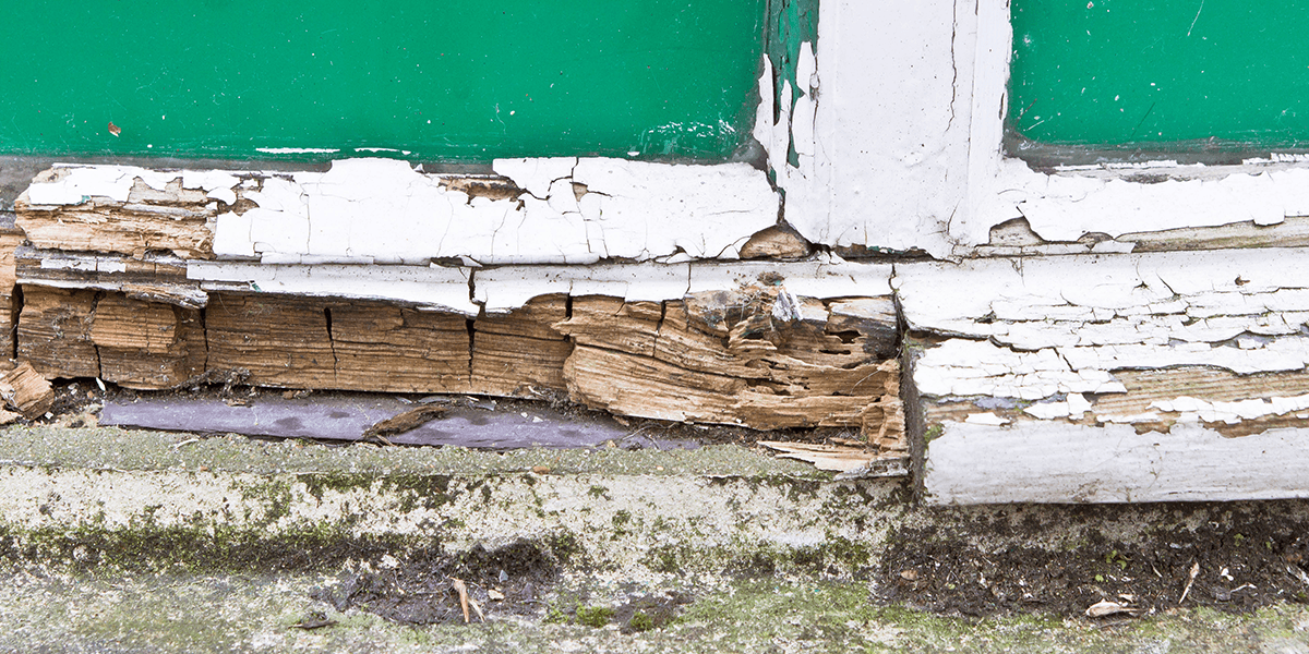 Wet Rot Survey | Kent | South East Timber & Damp
