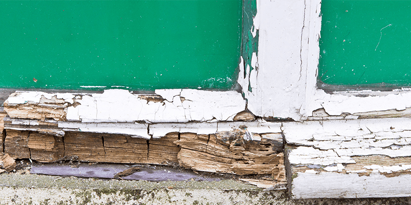 What Causes Wet Rot — South-East Timber & Damp Ltd.