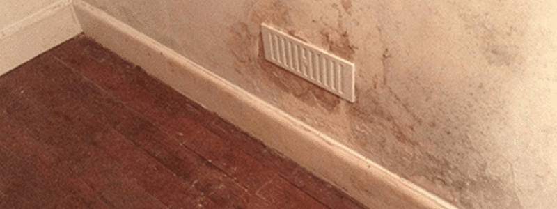 Damp And Timber Report | Kent | South East Timber and Damp