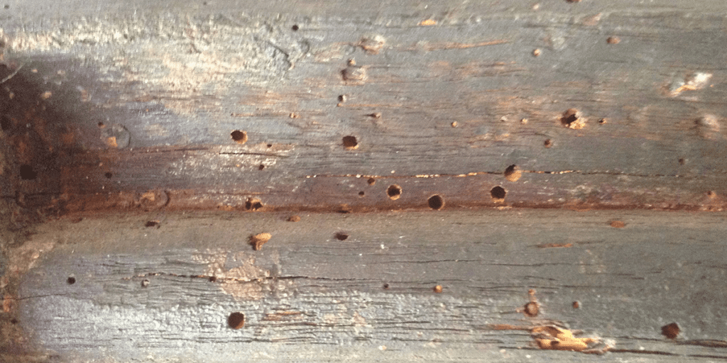 Damp Proof Specialist | South East Timber & Damp